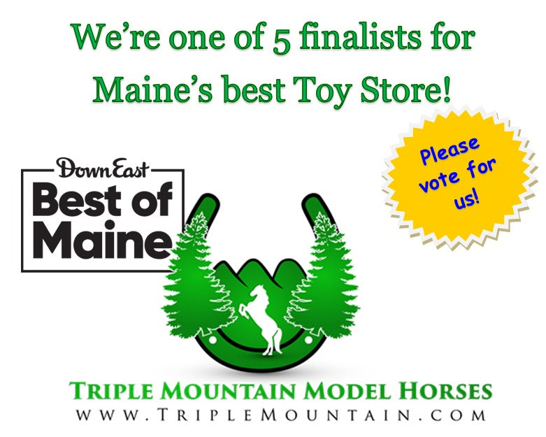 Make Us Maine's Favorite Toy Store! – Triple Mountain Model Horses