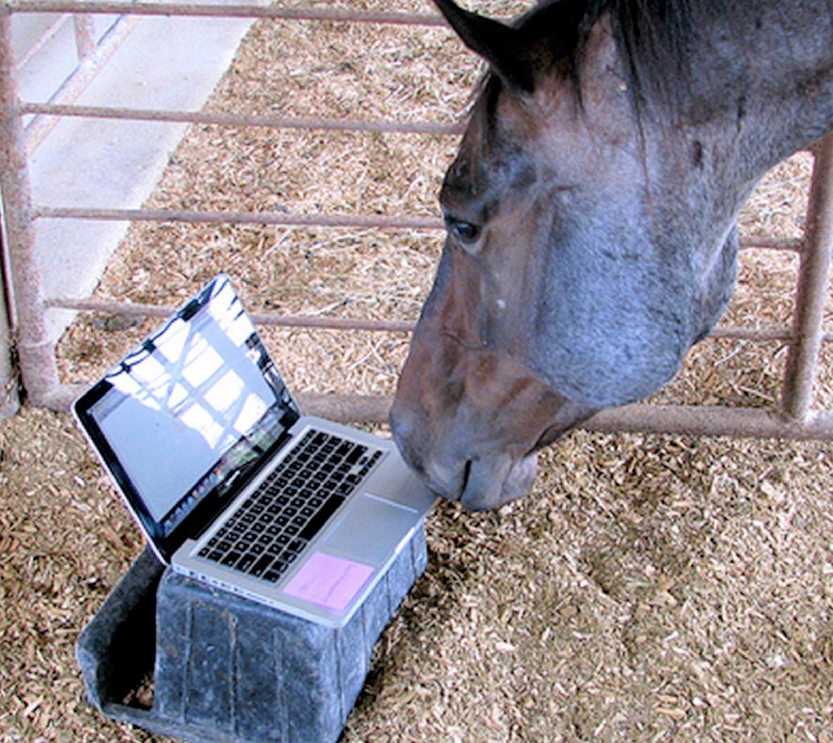 Website Shipping Issue - and Temporary Solution – Triple Mountain Model ...